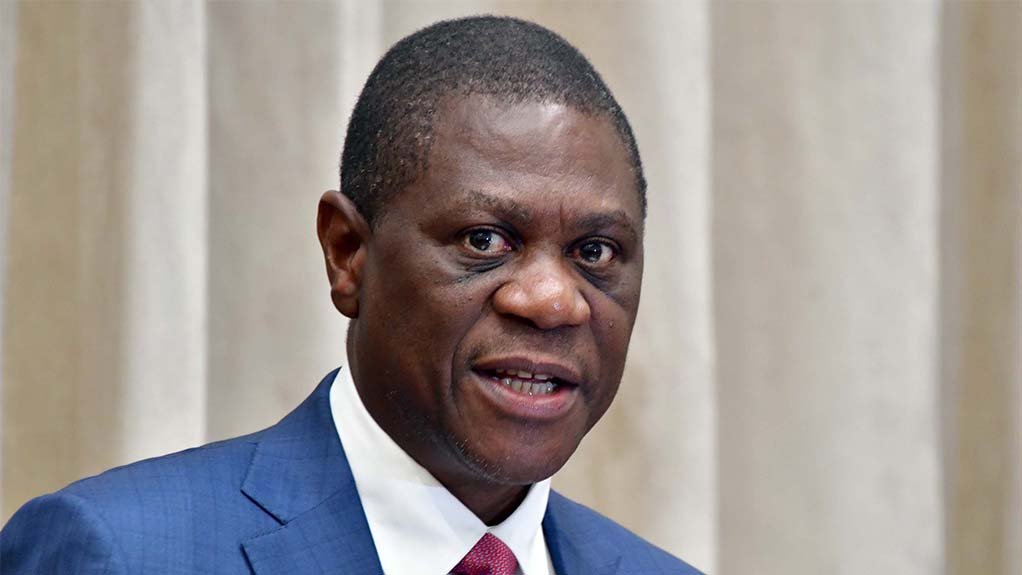 Rise Mzansi looks to Public Protector's report on Mashatile's mansions - Vaal Metro X-press